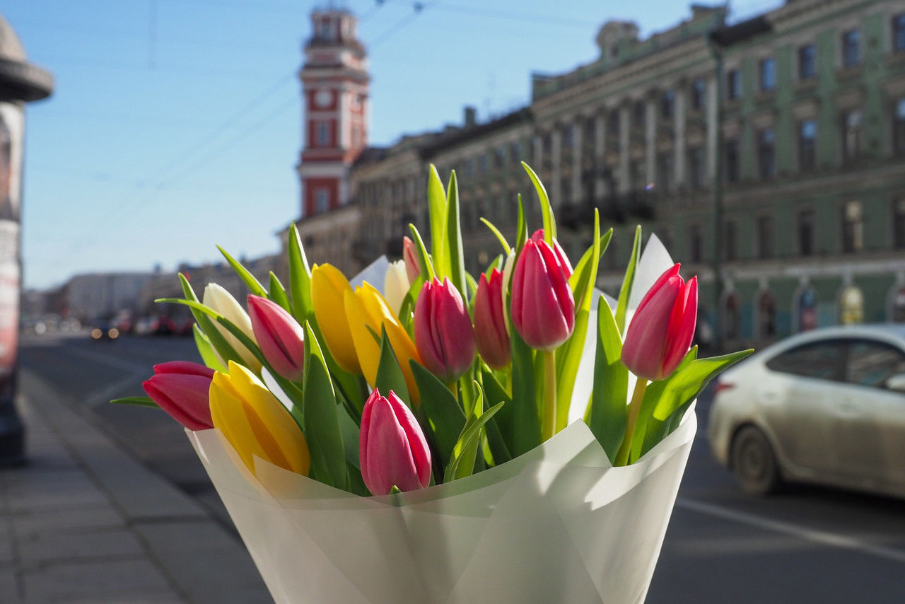 Юрист Владимирова выходной с 8 марта был перенесен на 13 июня